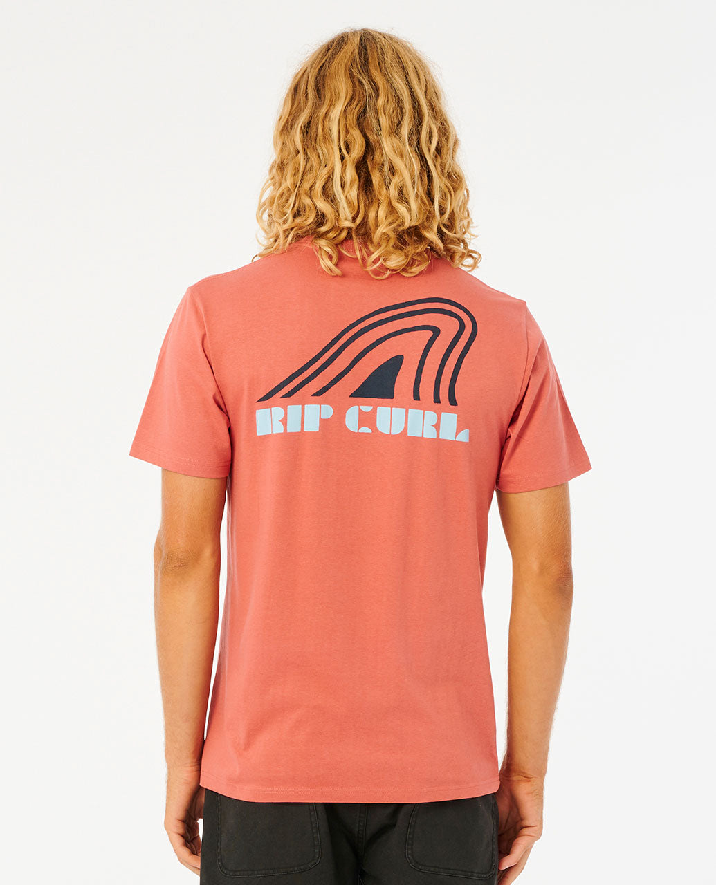 Single Fin Tee - Surf Clothing for mens – Rip Curl Indonesia